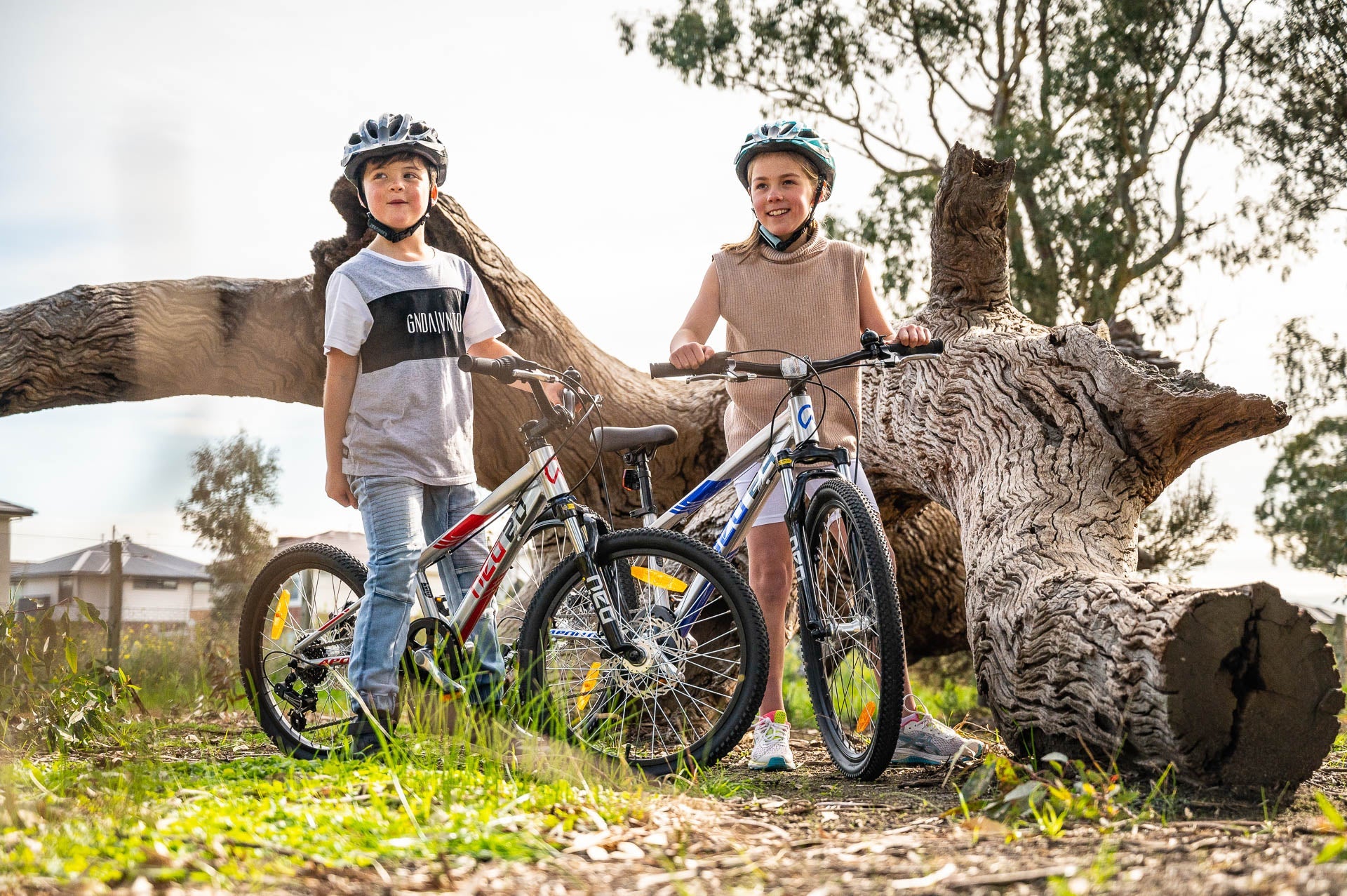 Disc – Neo Bicycles